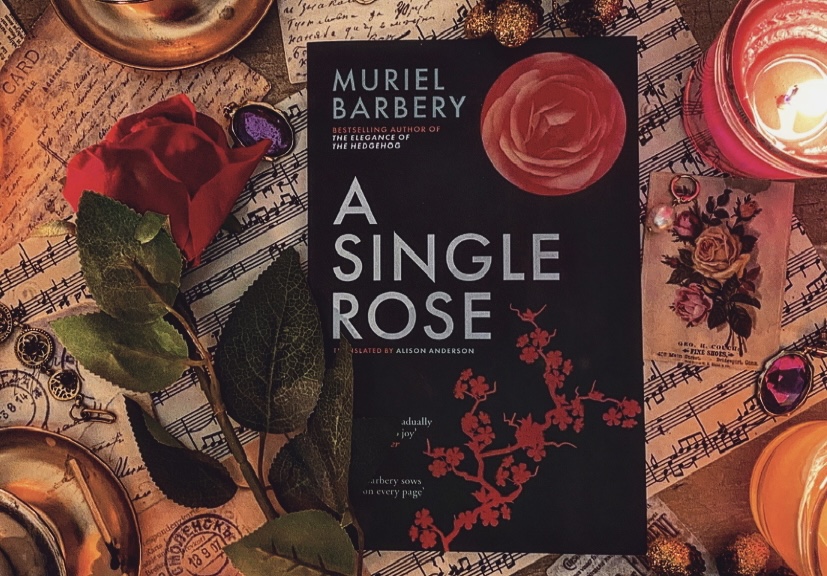 A Single Rose by Muriel Barbery | Book Review